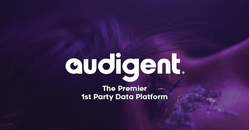 Audigent Secures $19.1 Million Series B Financing Round Led by EPAM ...